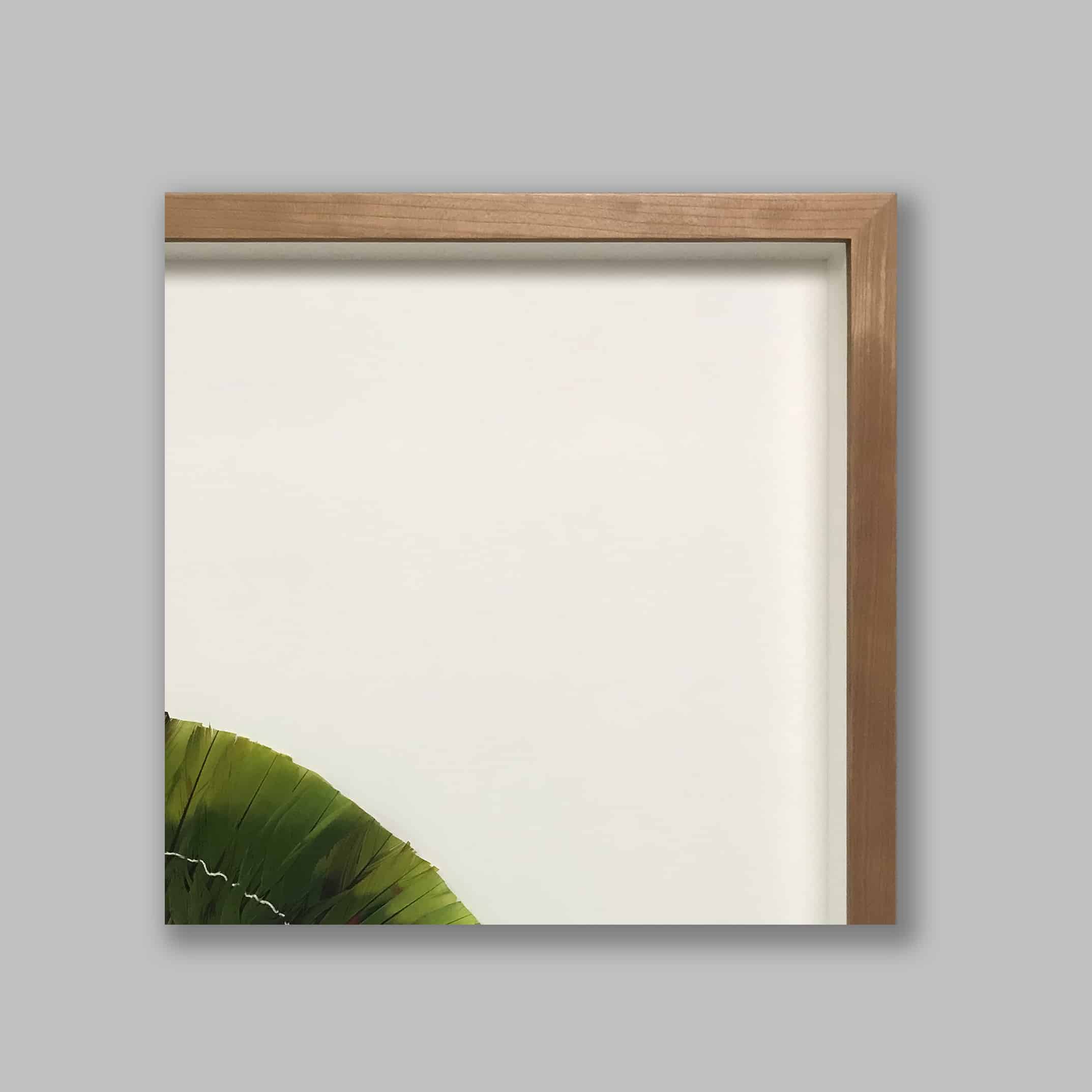 REAL STORIES - Chelsea Frames